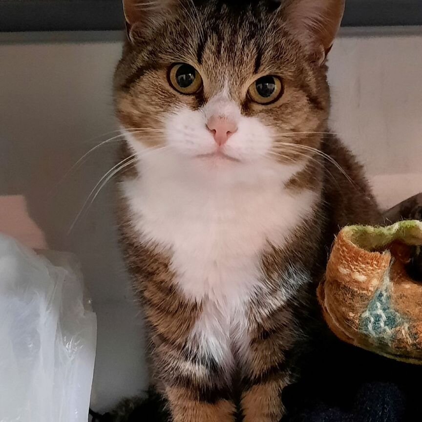 Стася ждет тебя