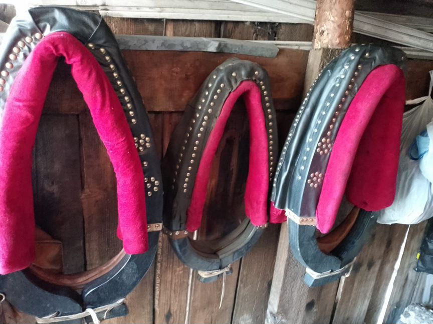 Продам хомуты, уздечки, сиделки