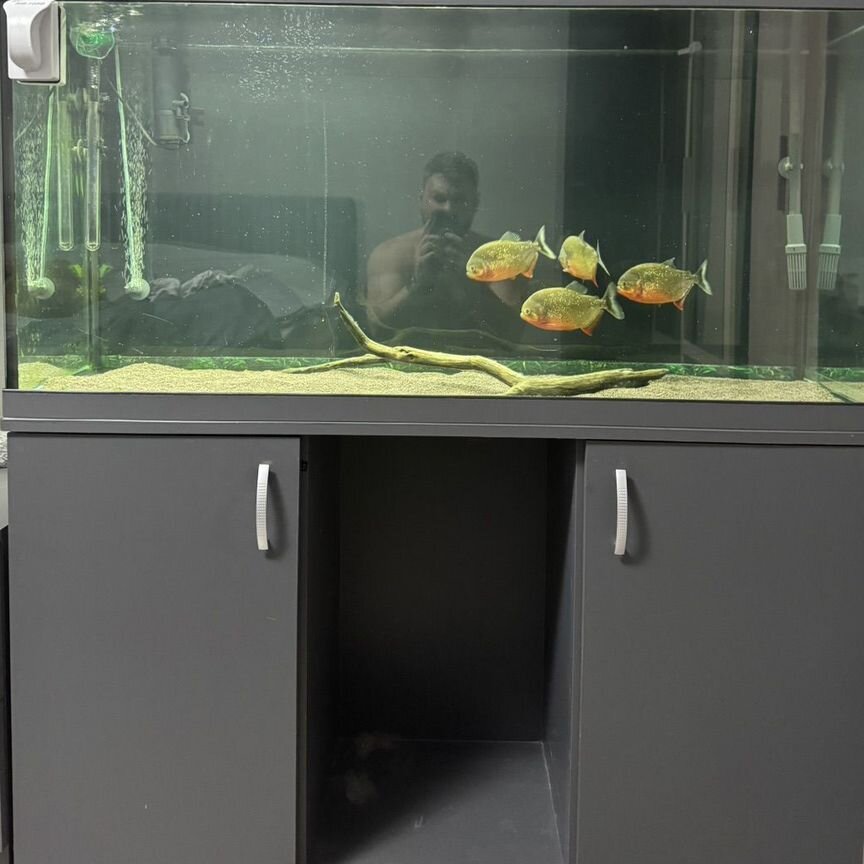 Аквариум 350