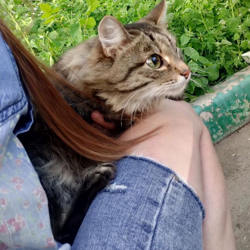 Красавец Васенька ждет своего Человека