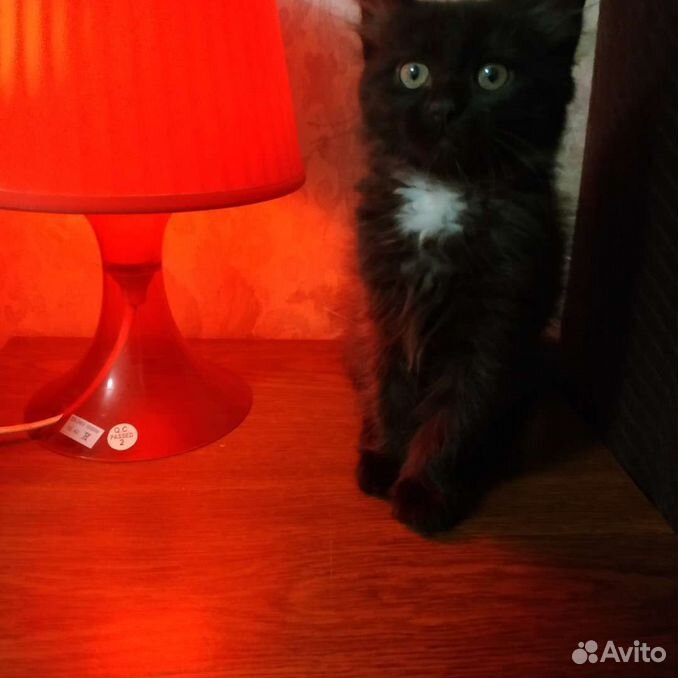 Малышка Клепа