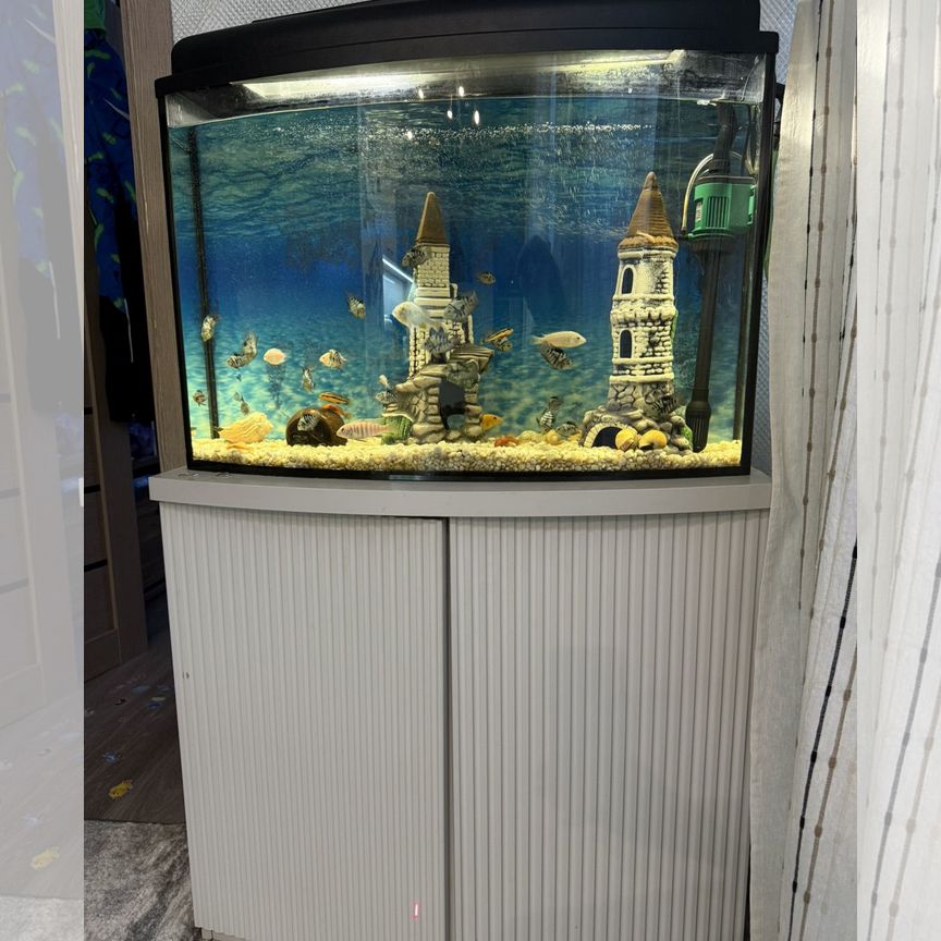 Аквариум 100л