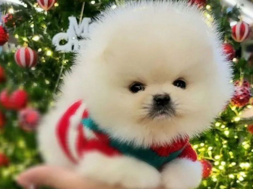 Красотуличка