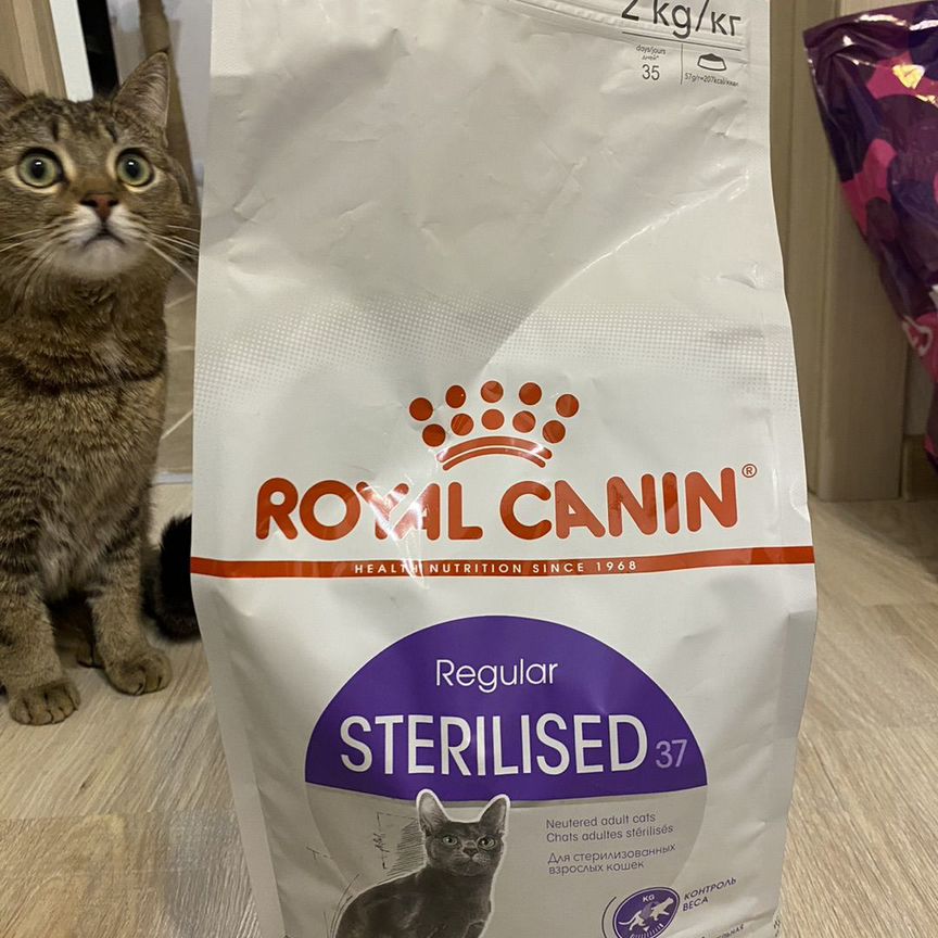 Корм для кошек royal canin sterilised