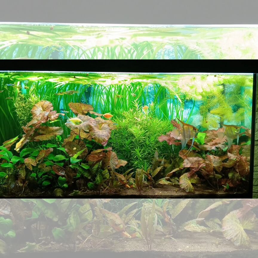 Аквариум с тумбой