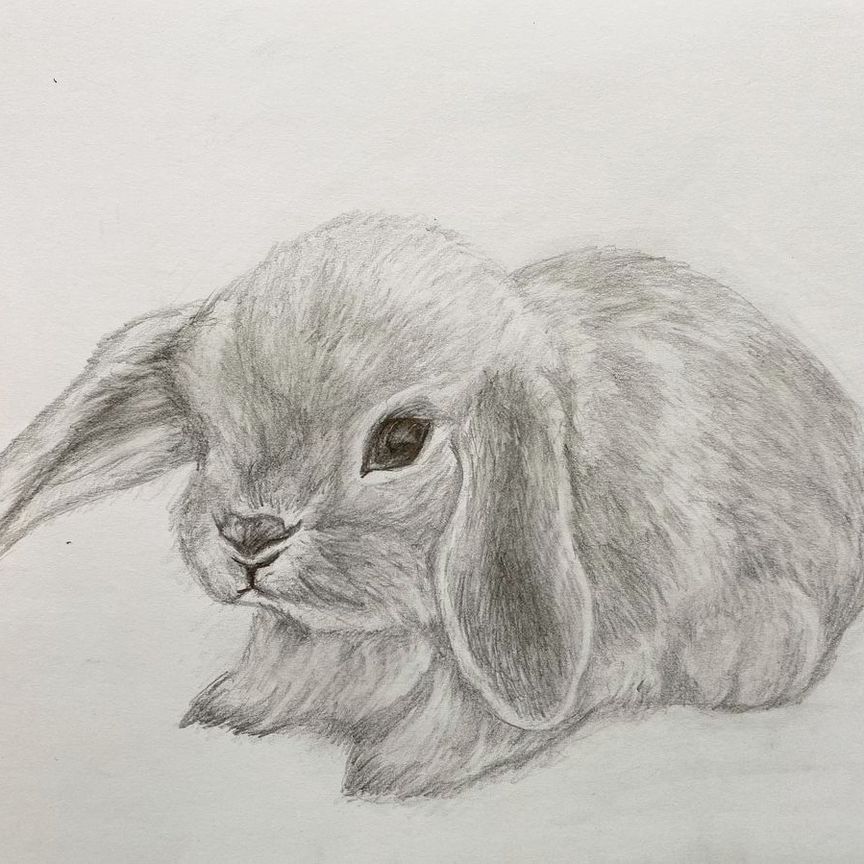 Рисую ваших питомцев