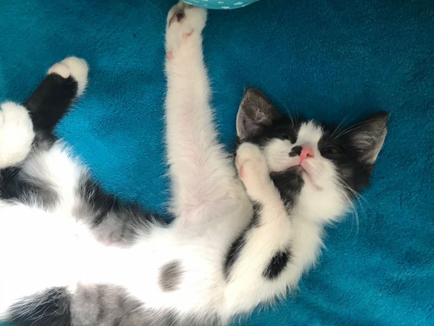 Мальчик Маркизик