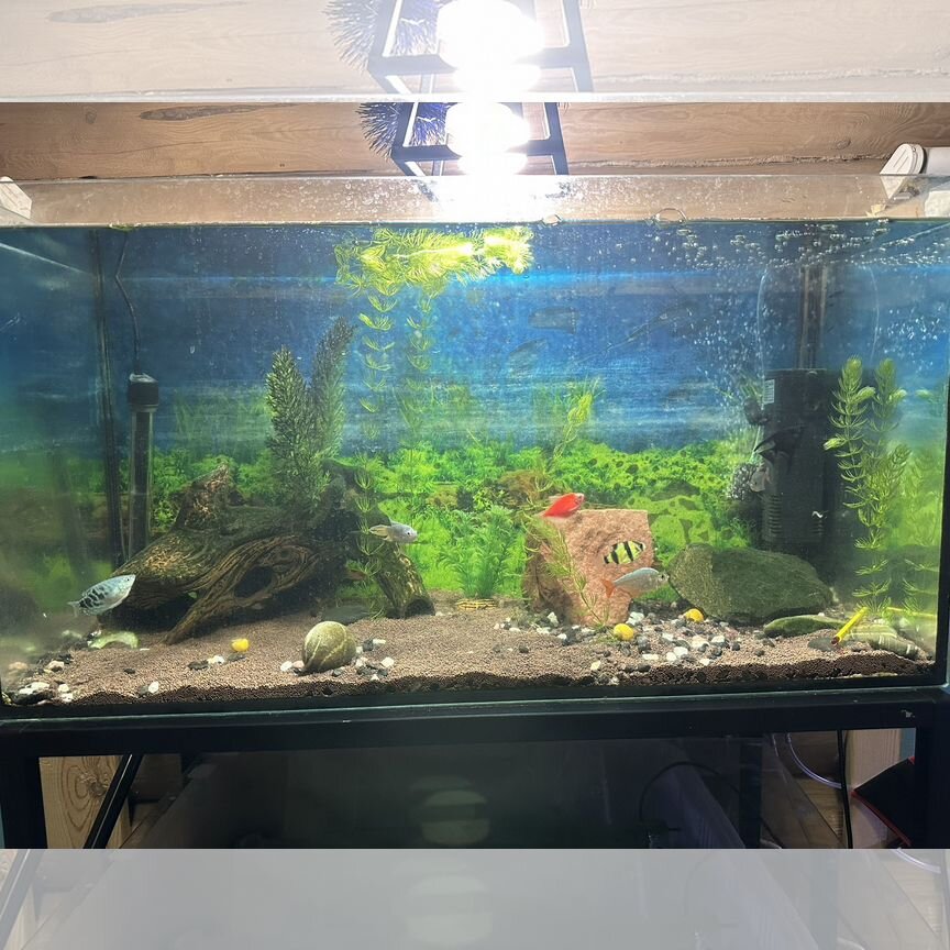 Аквариум 100 литров