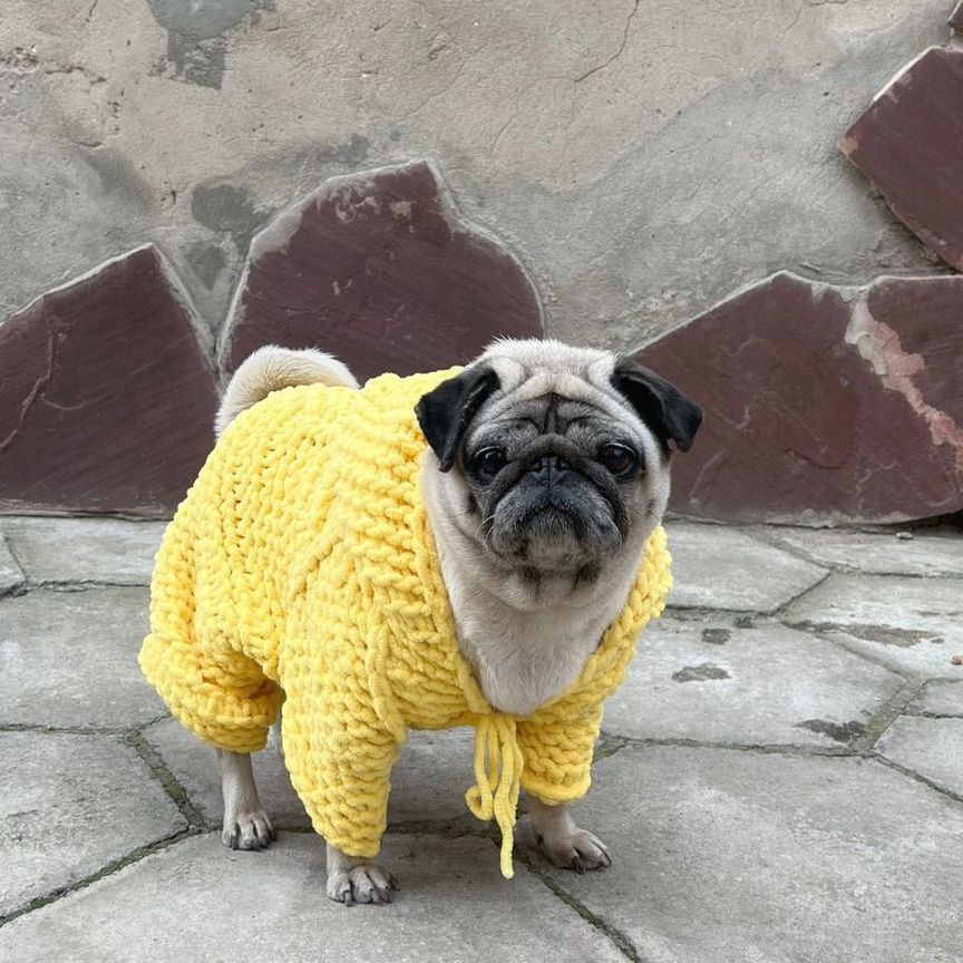 Комбинезон для питомца