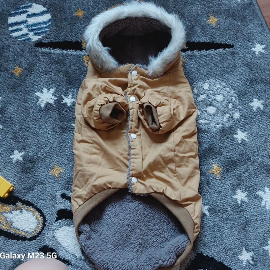 Одежда для собак