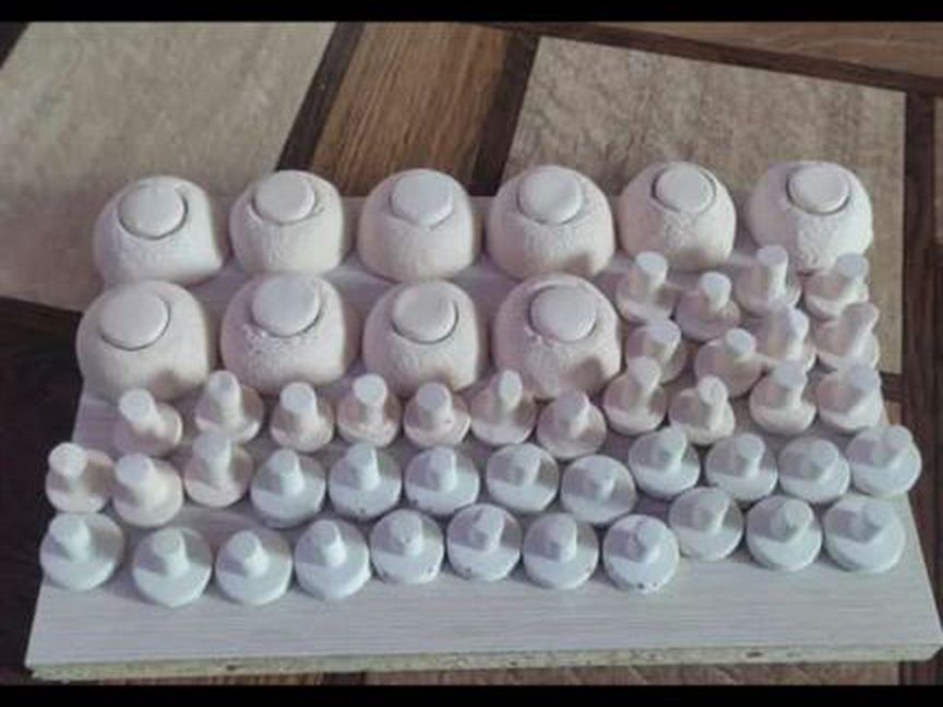 Полусферы для морского аквариума