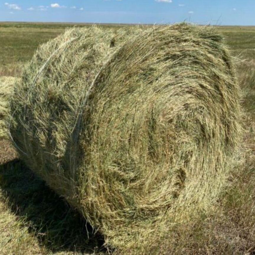 Сено в рулонах