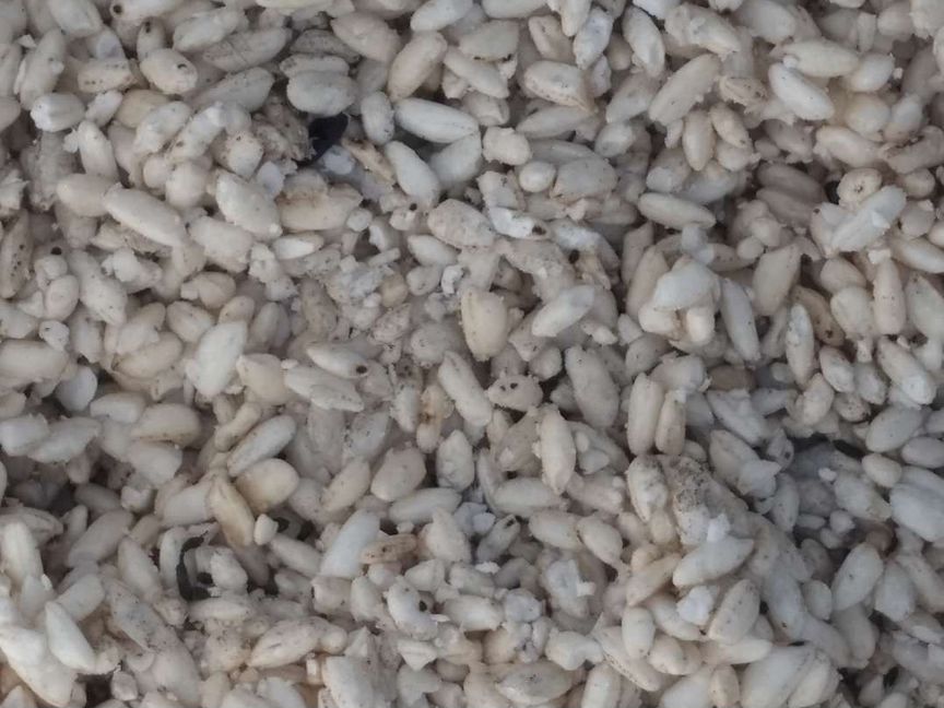 Корма для животных