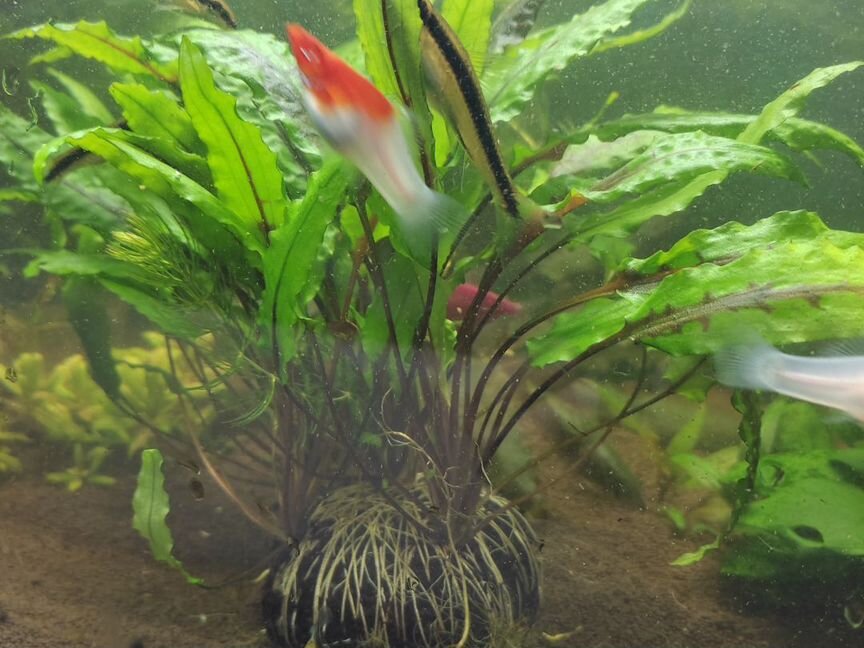 Украшение для аквариума