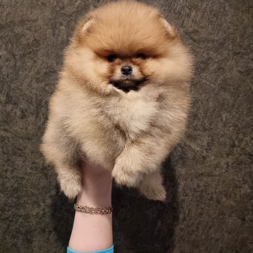 Очаровательный пупс