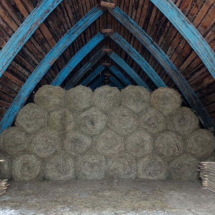 Продам сено в рулонах