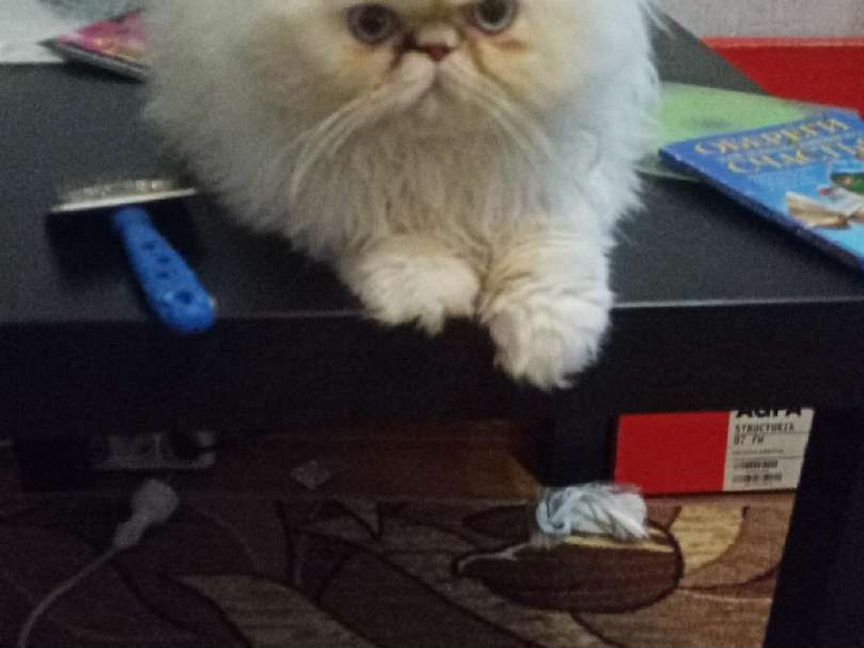 Персидская