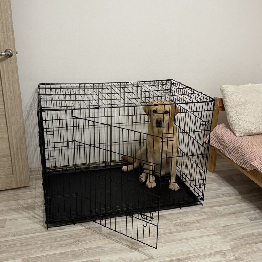 Клетка для собак 5