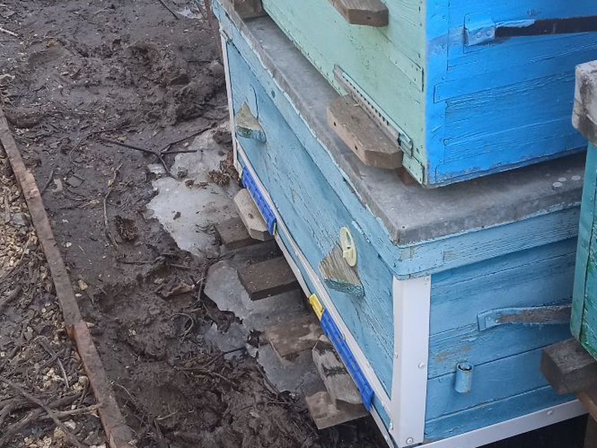 Продам ульи для пчел