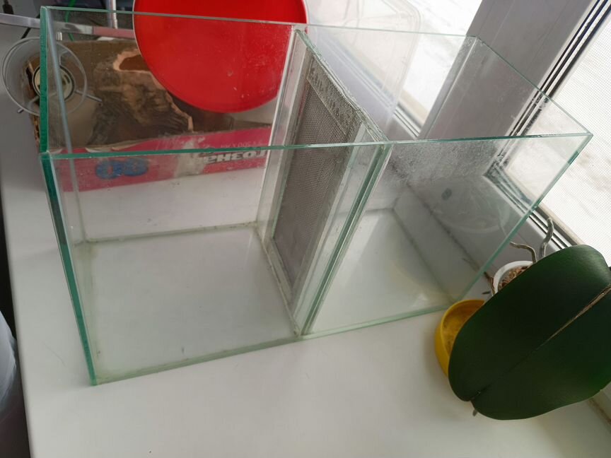 Аквариум раздельный(отсадник)