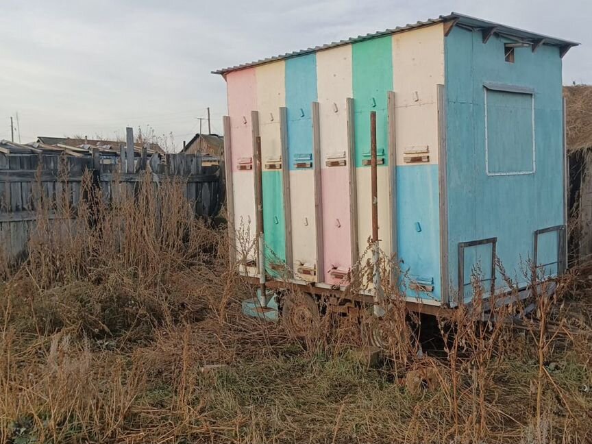 Пчелопавильон