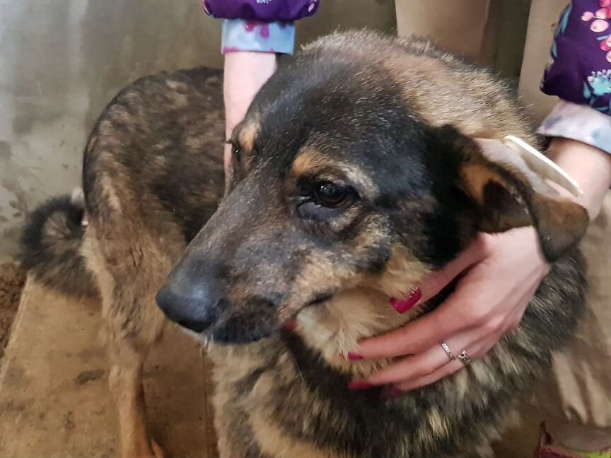 Несколько дней на пристрой