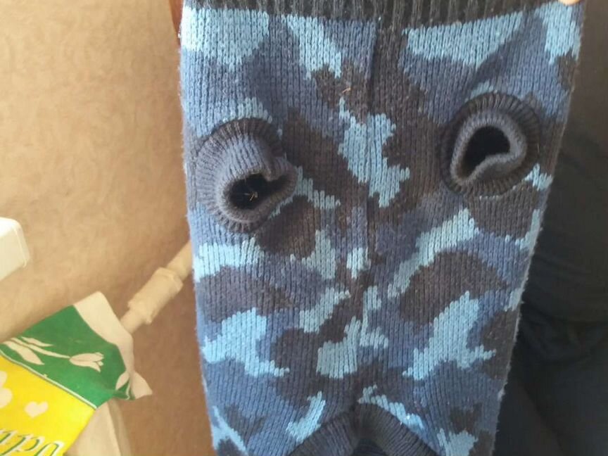 Костюм на собаку