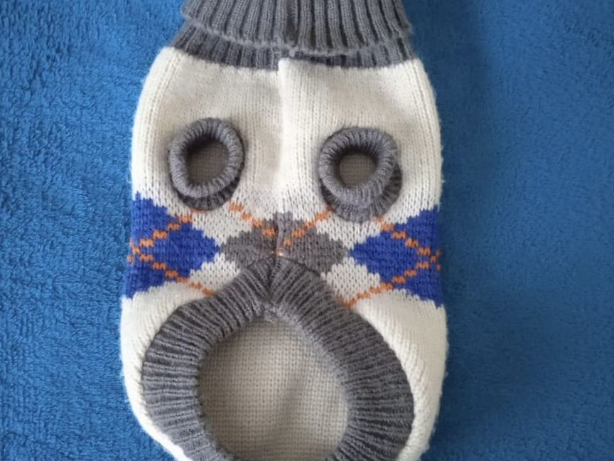 Кофта для собаки