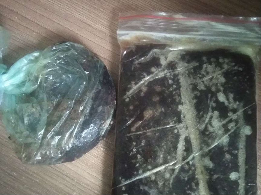 Корм для аквариумных рыбок