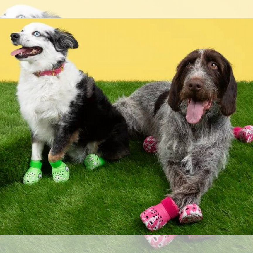 Кроксы для собак Crocs Pet boots