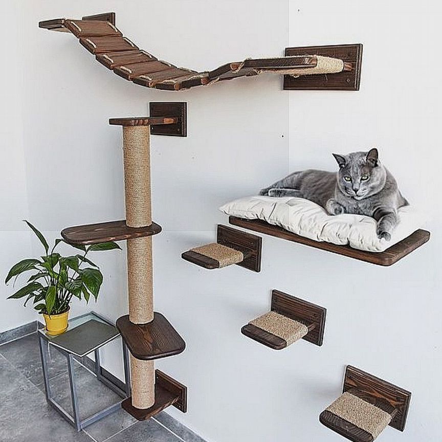 Игровые комплексы для кошек