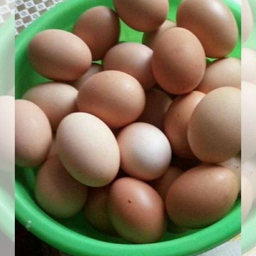 Домашние куриные яйца