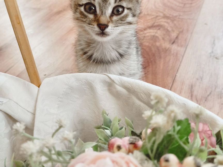 Я Сонечка, давайте знакомиться