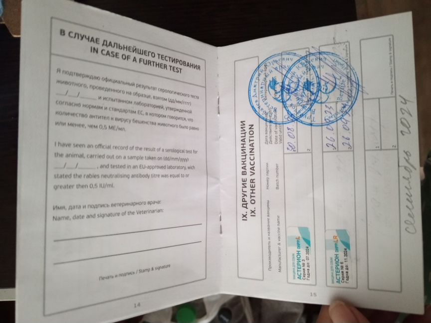 Продам собаку немецкая овчарка