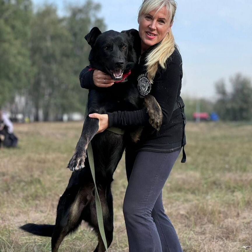 Собака в добрые руки