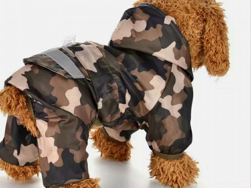 Новая одежда для собак