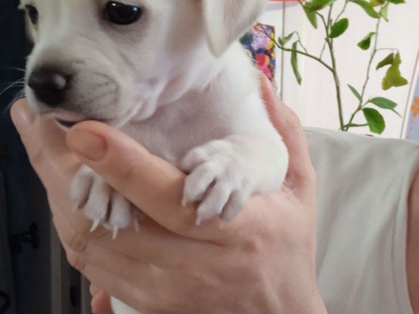 Зайкам нужны папы и мамы