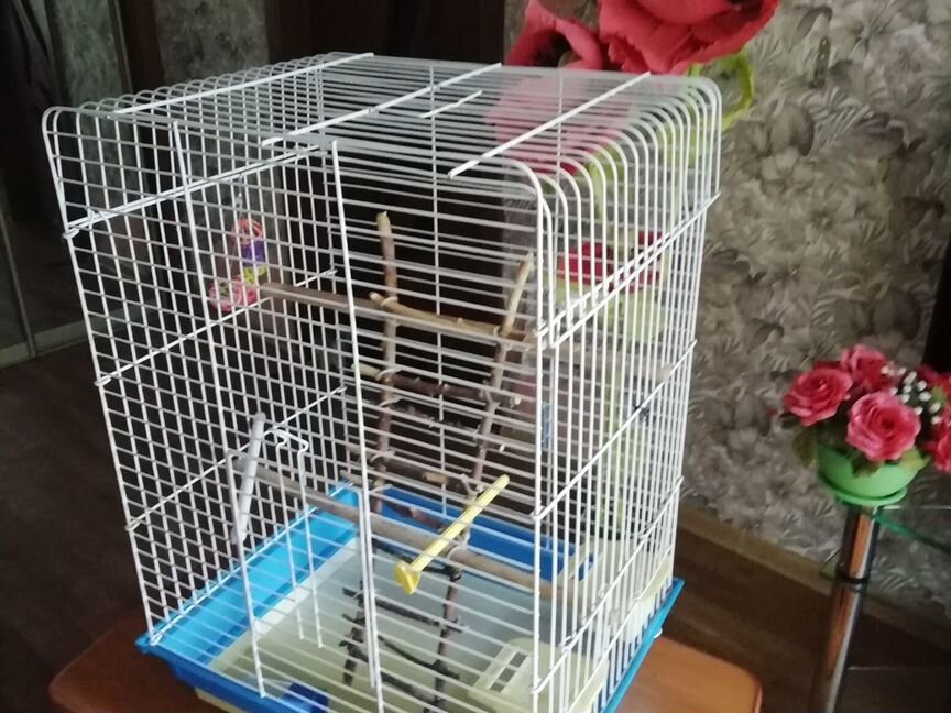 Клетка для птиц