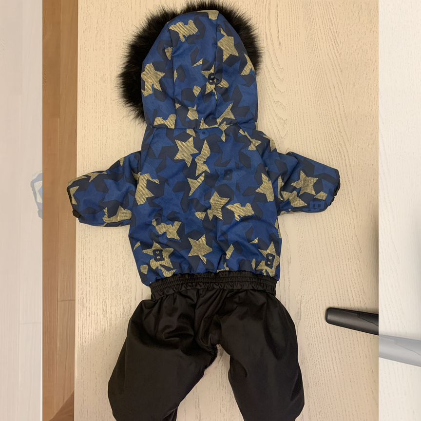 Одежда для собак мелких пород мальчик