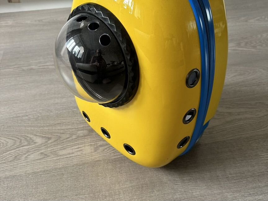 Чемодан-переноска для кота