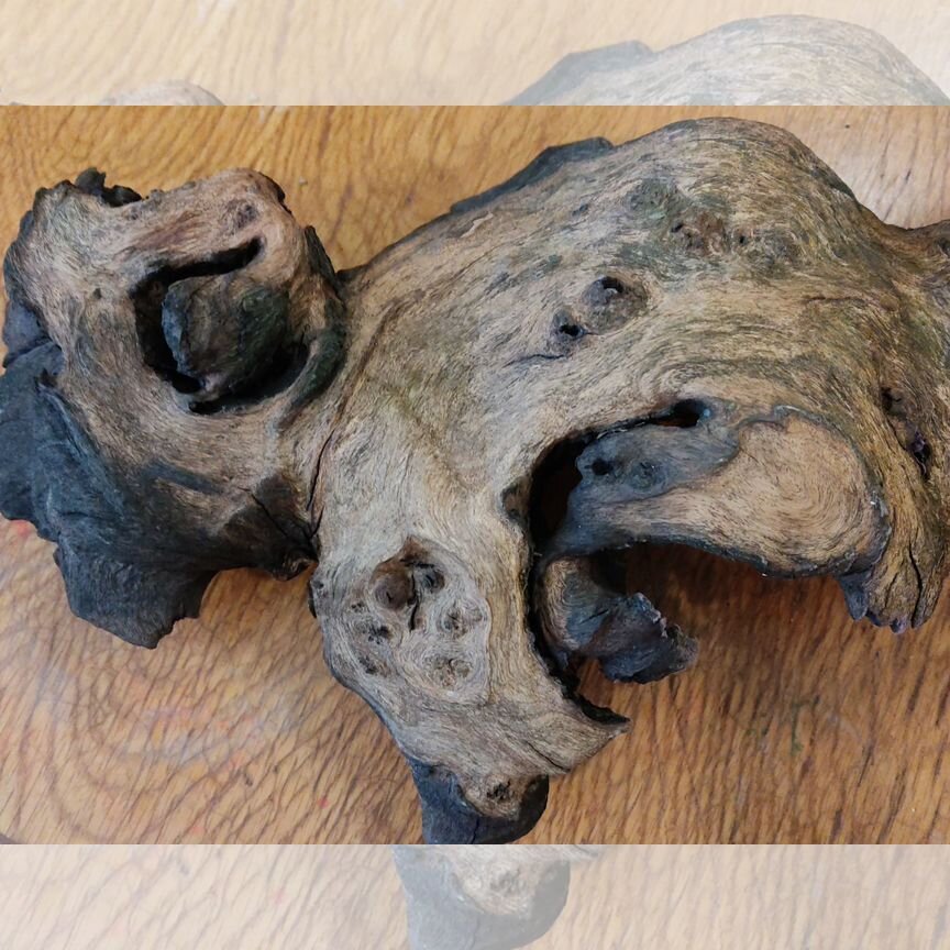 Коряги для аквариума бу