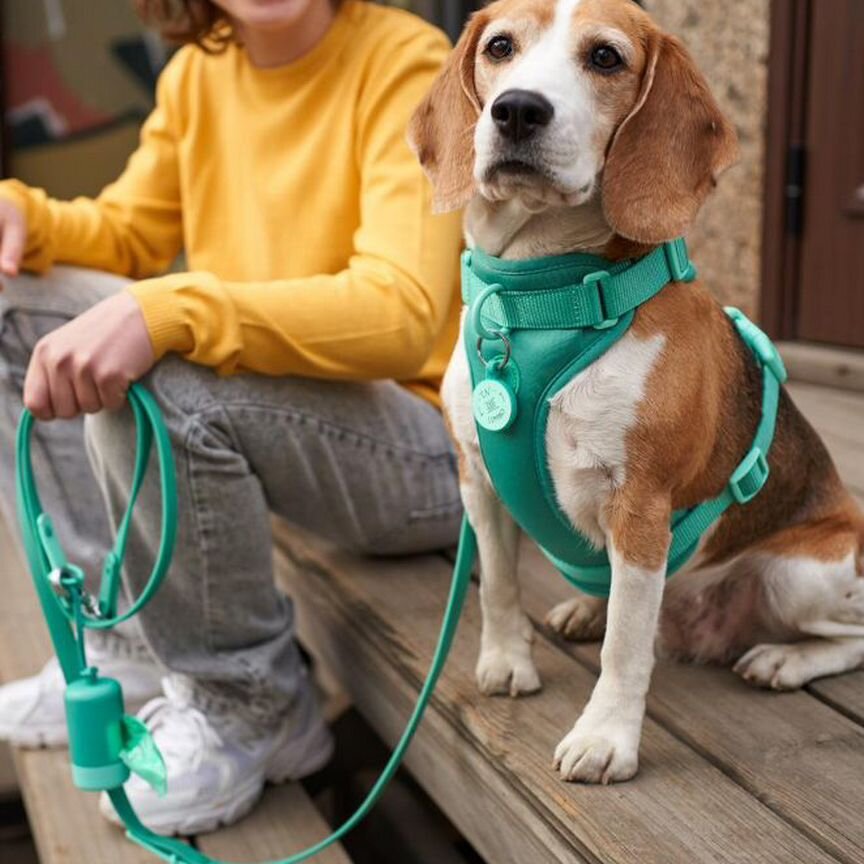 Воздушная шлейка