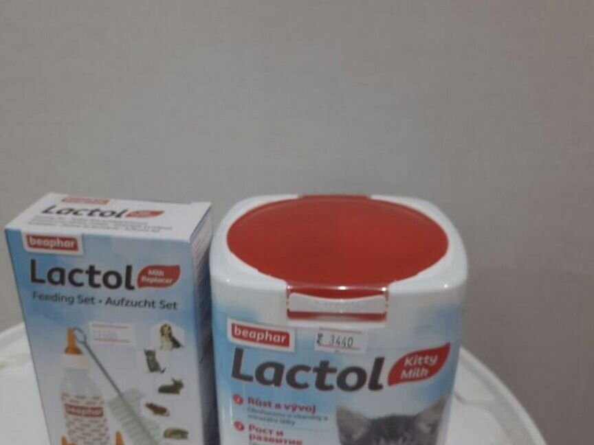Грудное молоко для котят