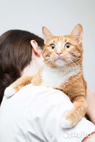 Огненная, юная игрунья Кристи ищет дом