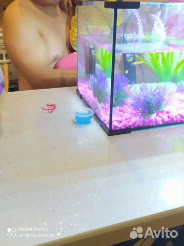 Аквариум
