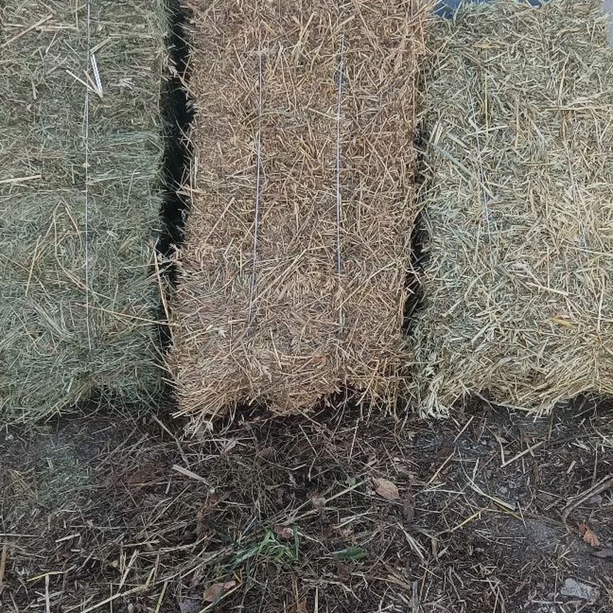 Сено в тюках