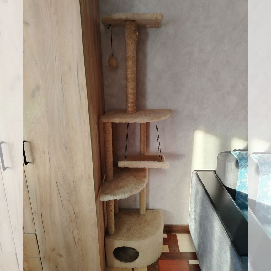 Стойка-когтеточка домик для кошек