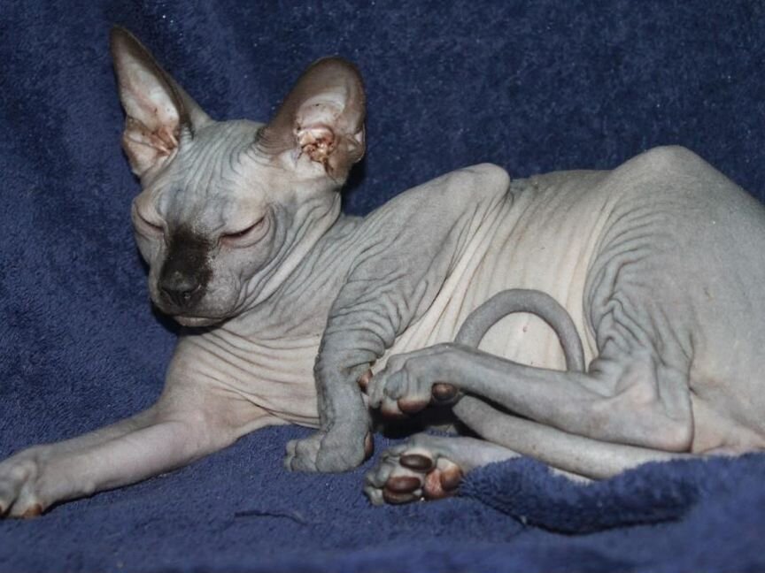 Самый сладкий мальчик