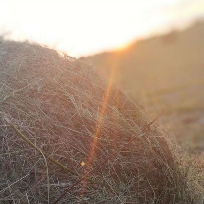 Сено в рулонах