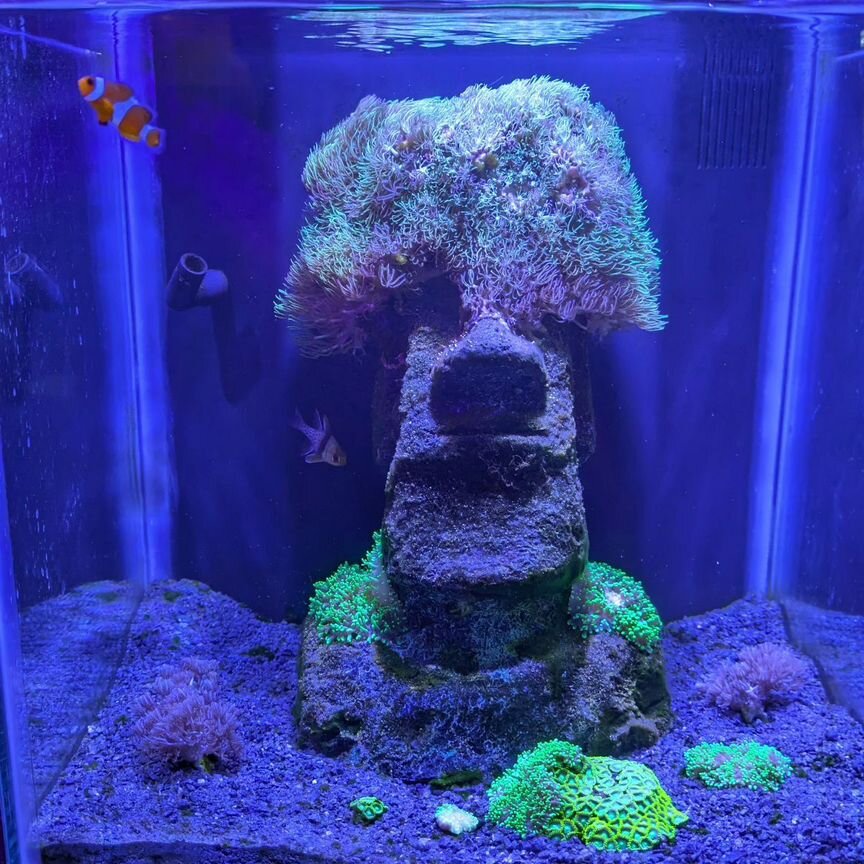 Морской аквариум 25 л